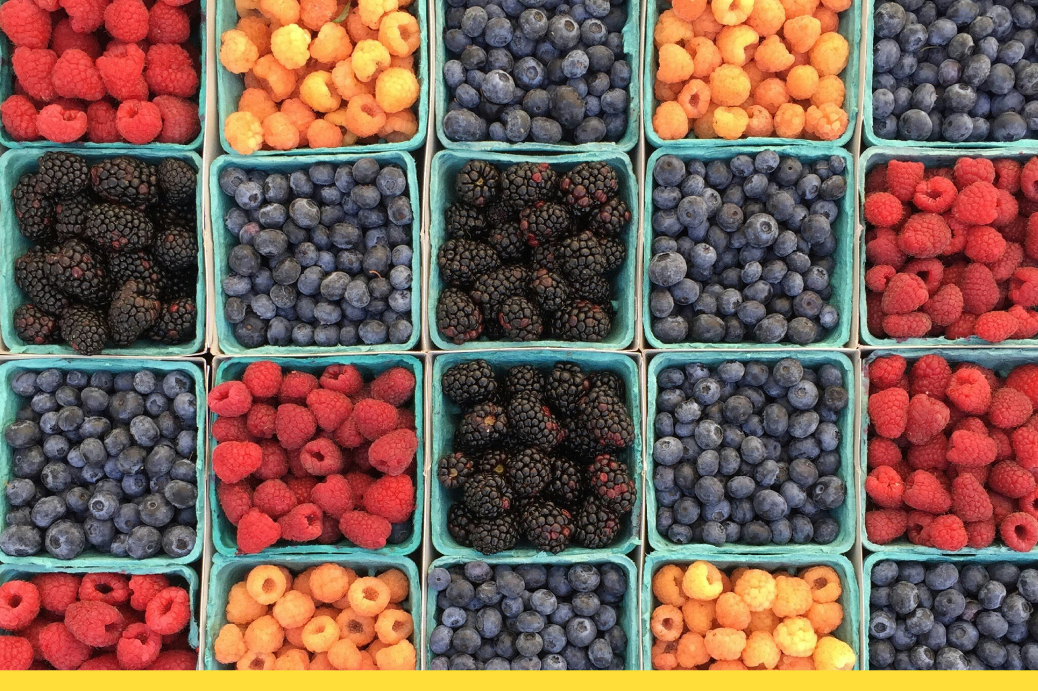 Alphington | Place Guide | MRE — Melbourne Real Estate