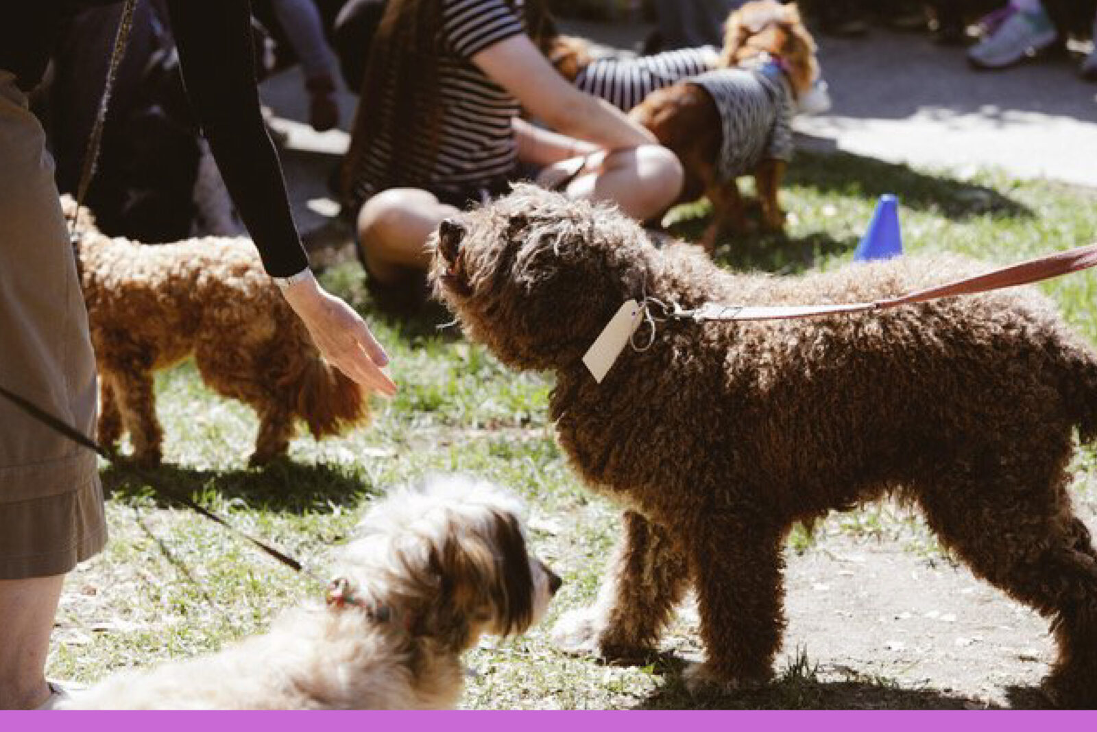 Alphington | Place Guide | MRE — Melbourne Real Estate