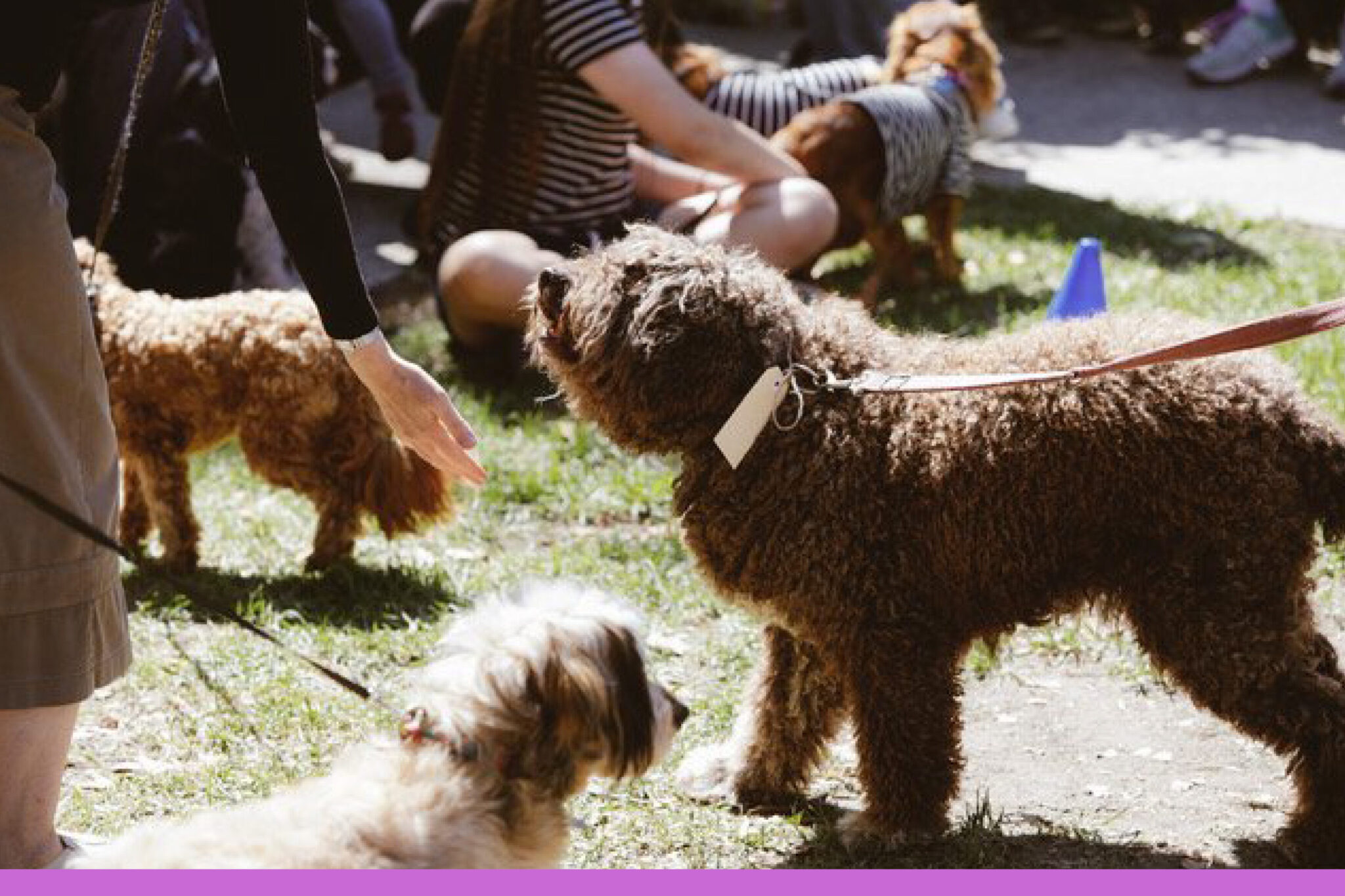 Alphington | Place Guide | MRE — Melbourne Real Estate