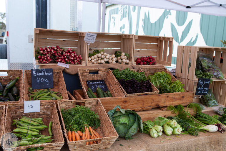 Alphington | Place Guide | MRE — Melbourne Real Estate
